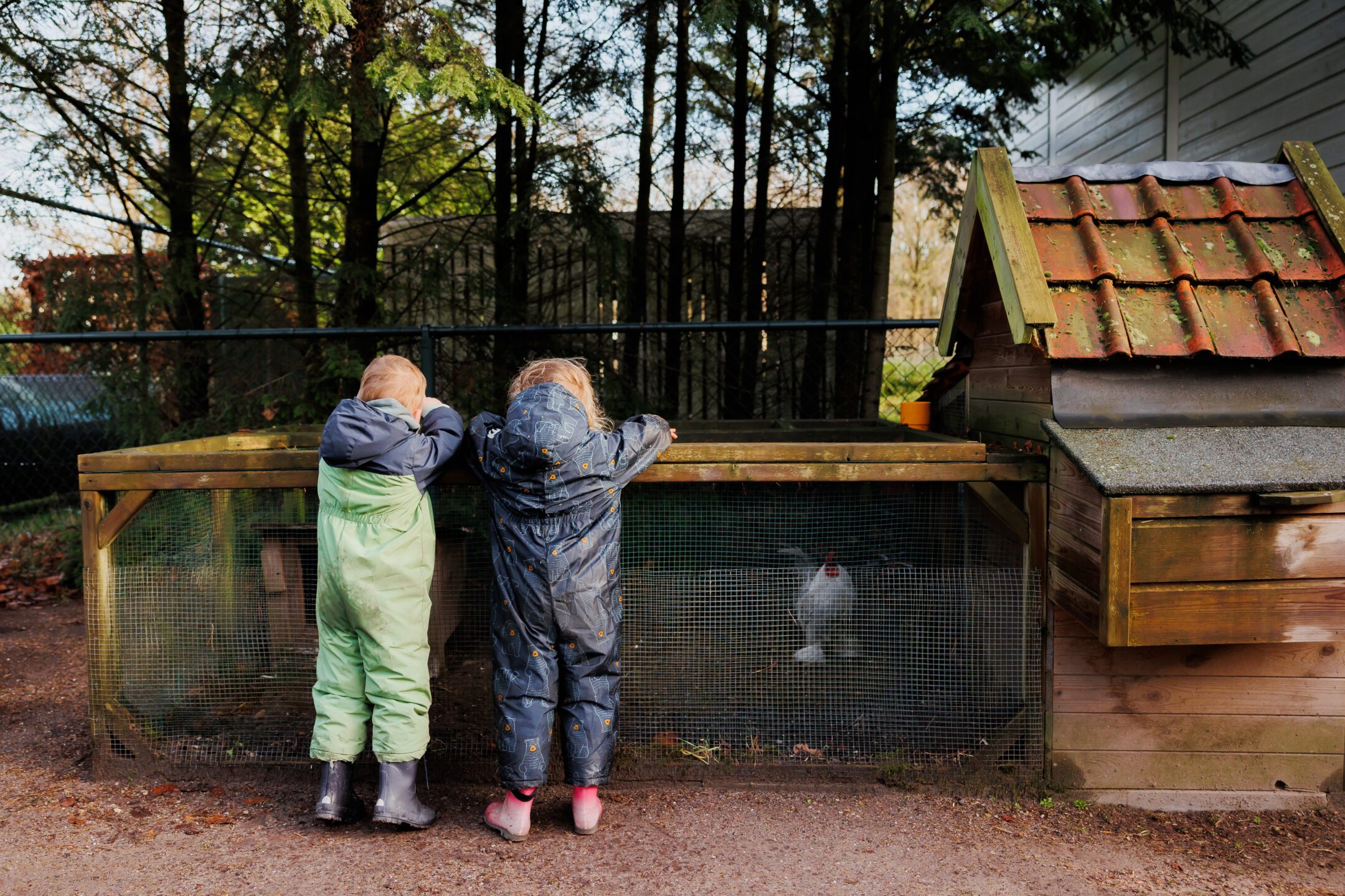 Groene wereld Mondiaen: spelenderwijs leren in de natuur